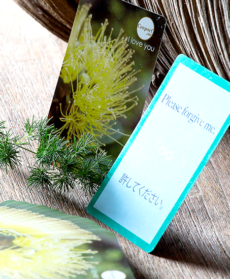 Cleaning Tool – Shop - Ho'oponopono Official